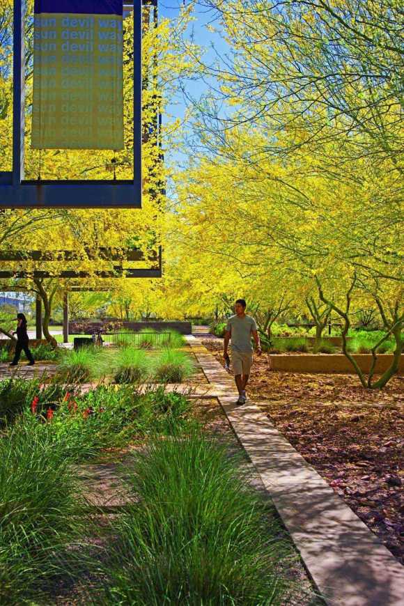 Arizona State University Polytechnic Campus (asla) by Ten Eyck ...