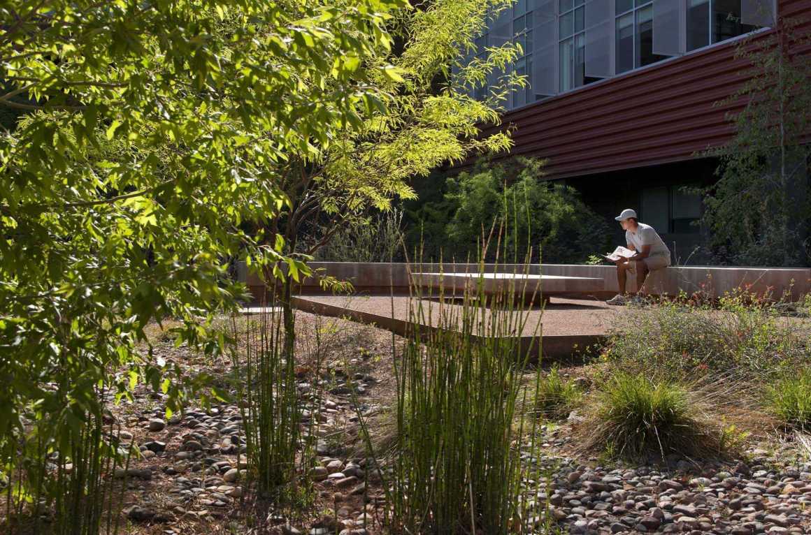 Arizona State University Polytechnic Campus (asla) by Ten Eyck ...