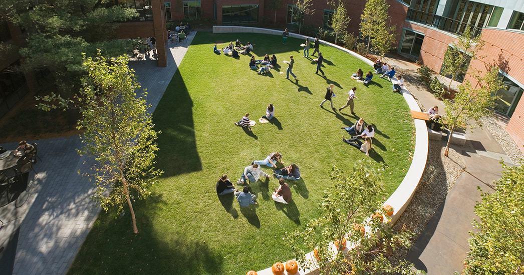 Buckingham Browne by Stephen Stimson Associates – mooool