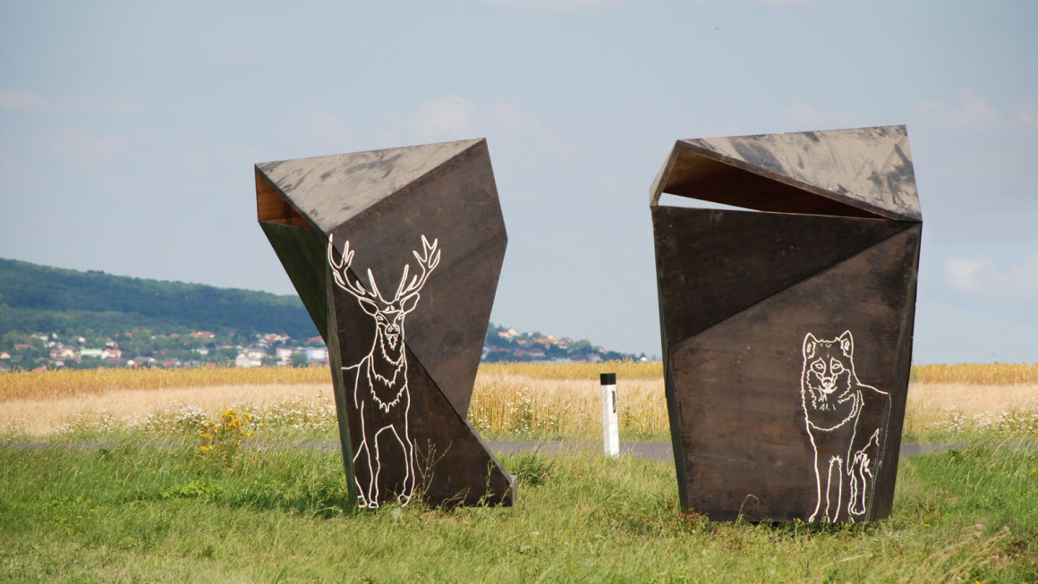 bauchplan ).( – mooool