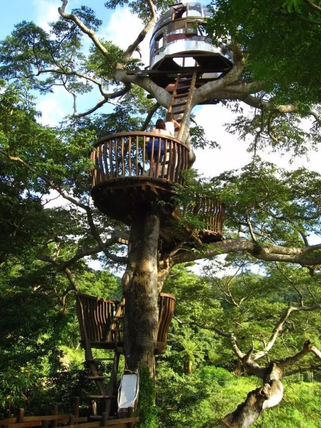 Tree House By Takashi Kobayashi – mooool