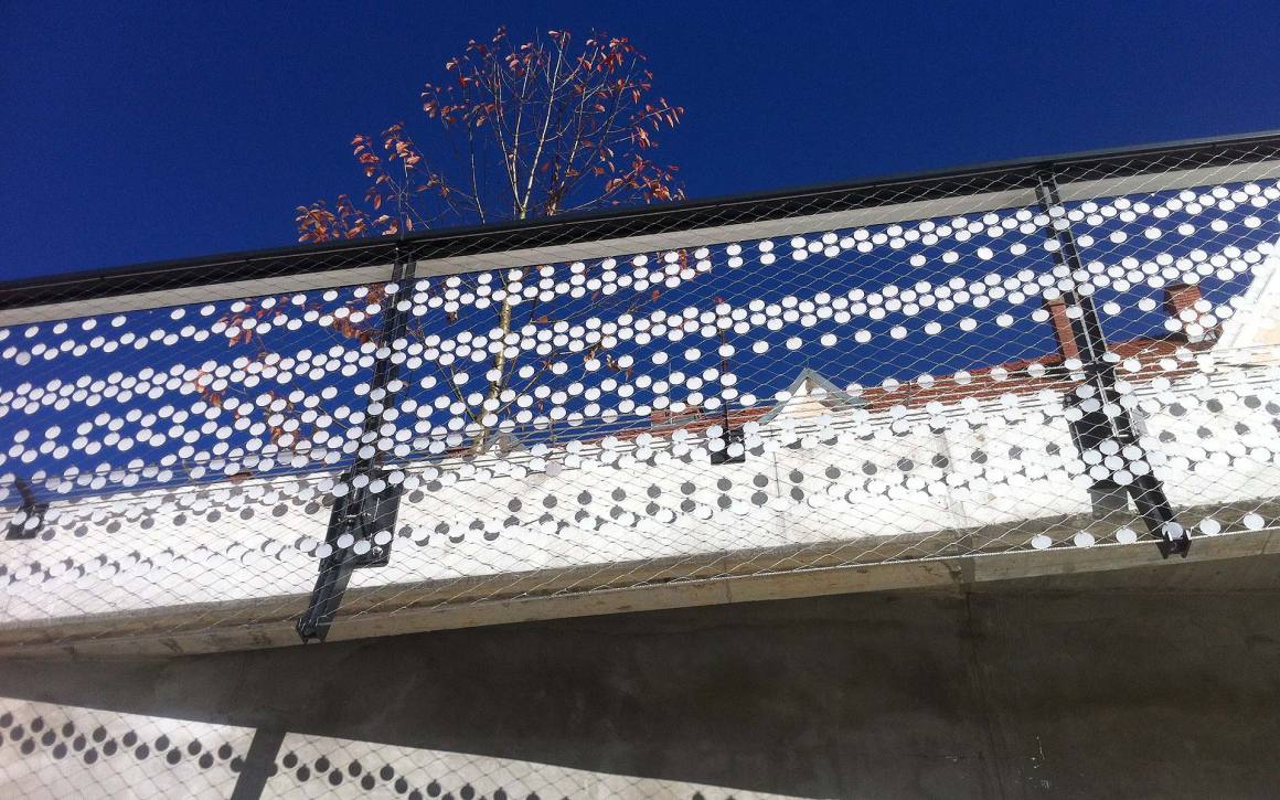 bauchplan ).( – mooool