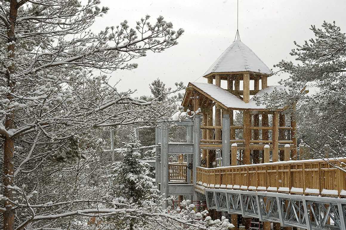 有树穴、鸟巢、空中儿童蜘蛛网的超级野生步道 / Linearscape – mooool木藕设计网