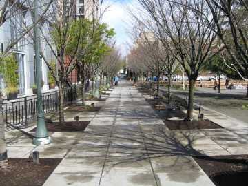 Jamison Square by PWP – mooool