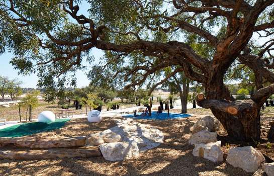 Yanchep Golf Estate Entry Pocket Park by PLACE Laboratory – mooool