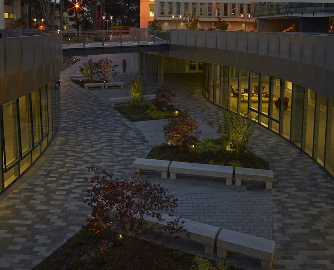 University of San Francisco Center for Science and Innovation Landscape ...