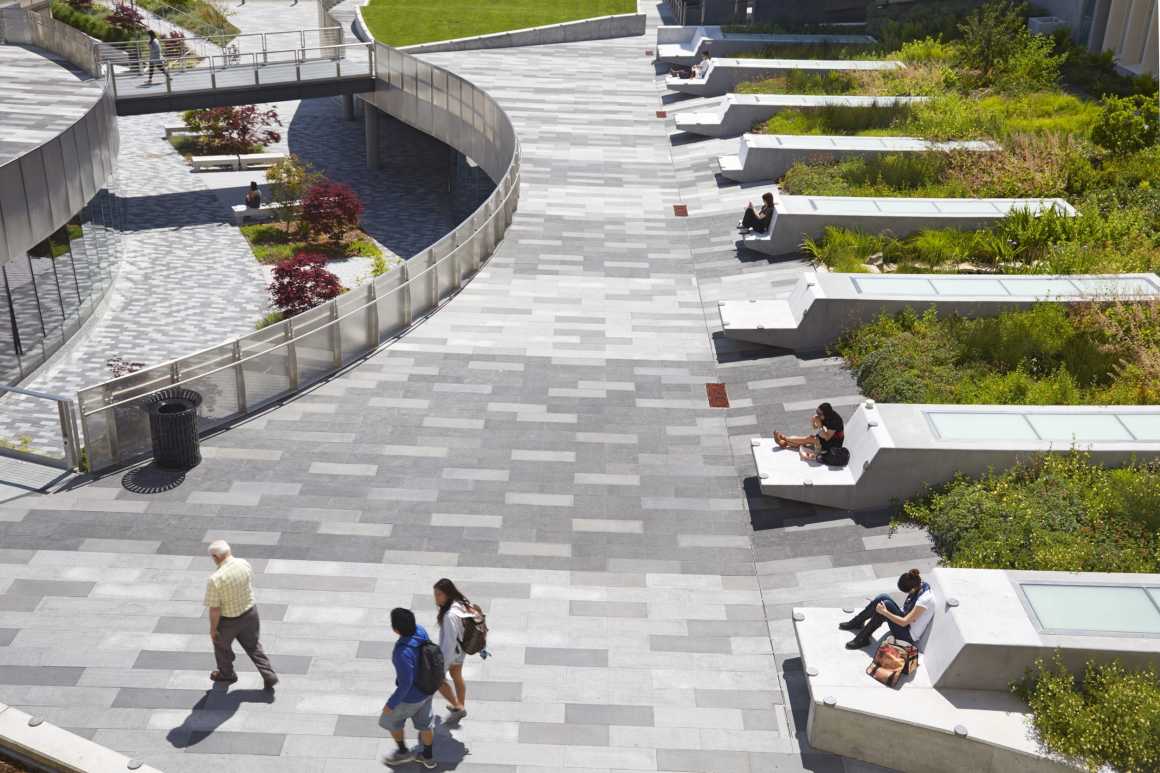 University of San Francisco Center for Science and Innovation Landscape ...