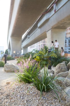 Platform Park by TERREMOTO – mooool