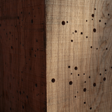 INSECT CITY by x-studio – mooool