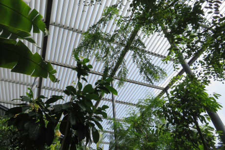 Paramit: Factory in the Forest by Design Unit Architects – mooool