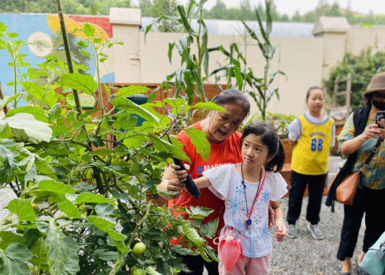 Shanghai Hongxu Habitat Garden by Shanghai Clover Nature School ...