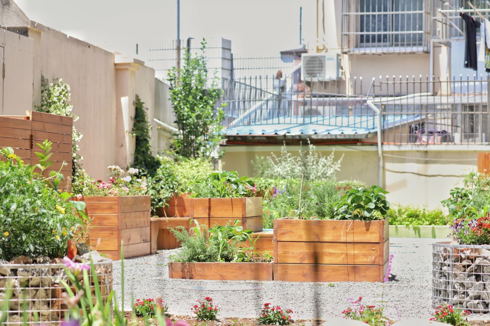 Shanghai Hongxu Habitat Garden by Shanghai Clover Nature School ...