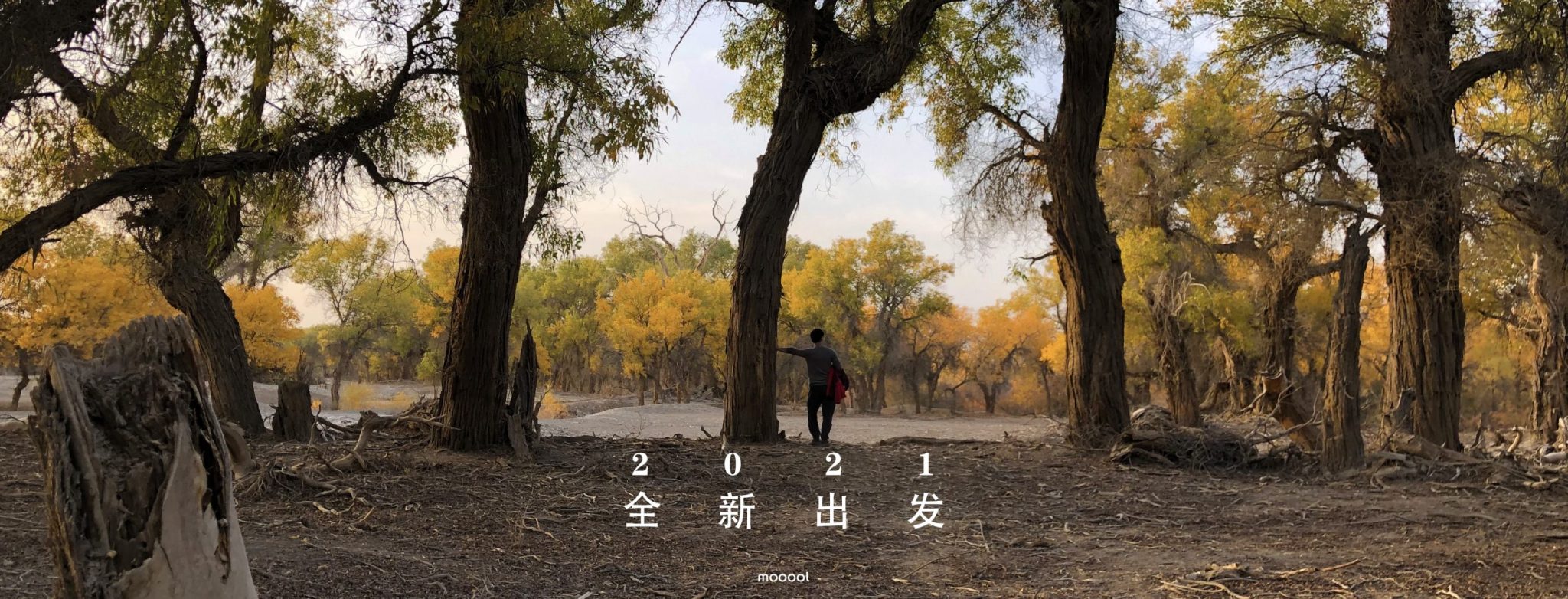 mooool木藕设计网