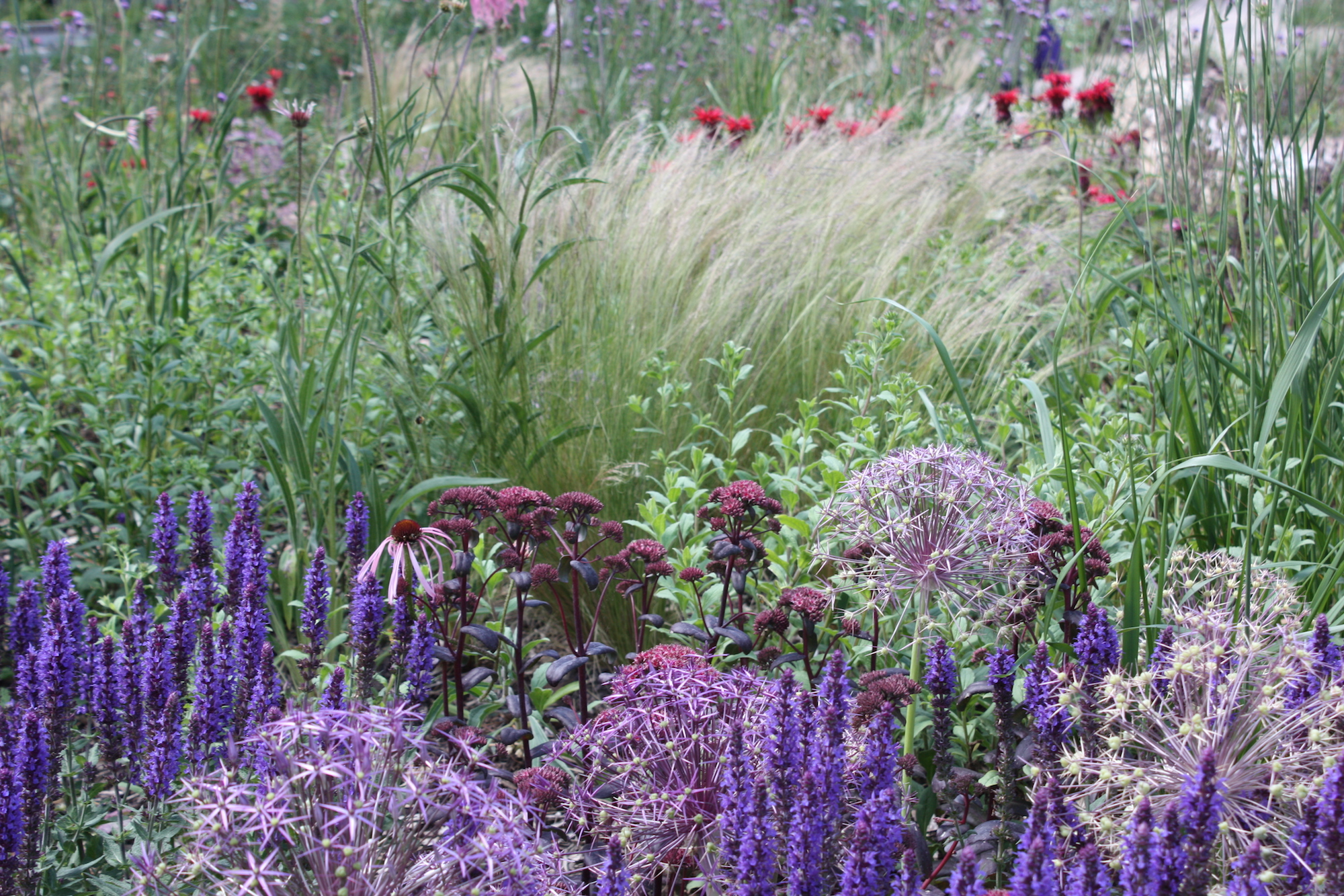 Sayer Street & the Meadow by B|D Landscape Architects – mooool