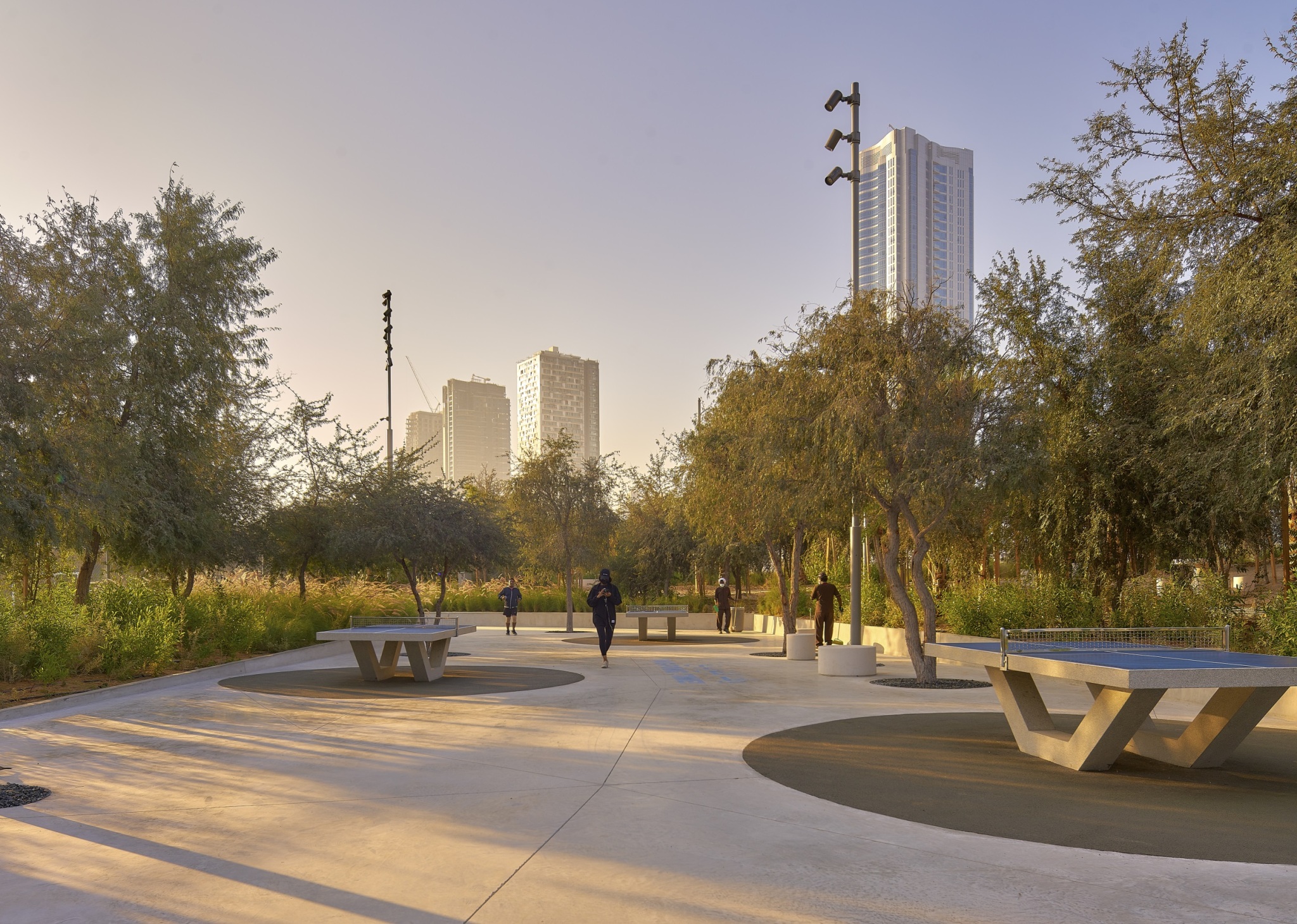 树荫公园，阿布扎比新型自然公共空间 / SLA Architects – mooool木藕设计网