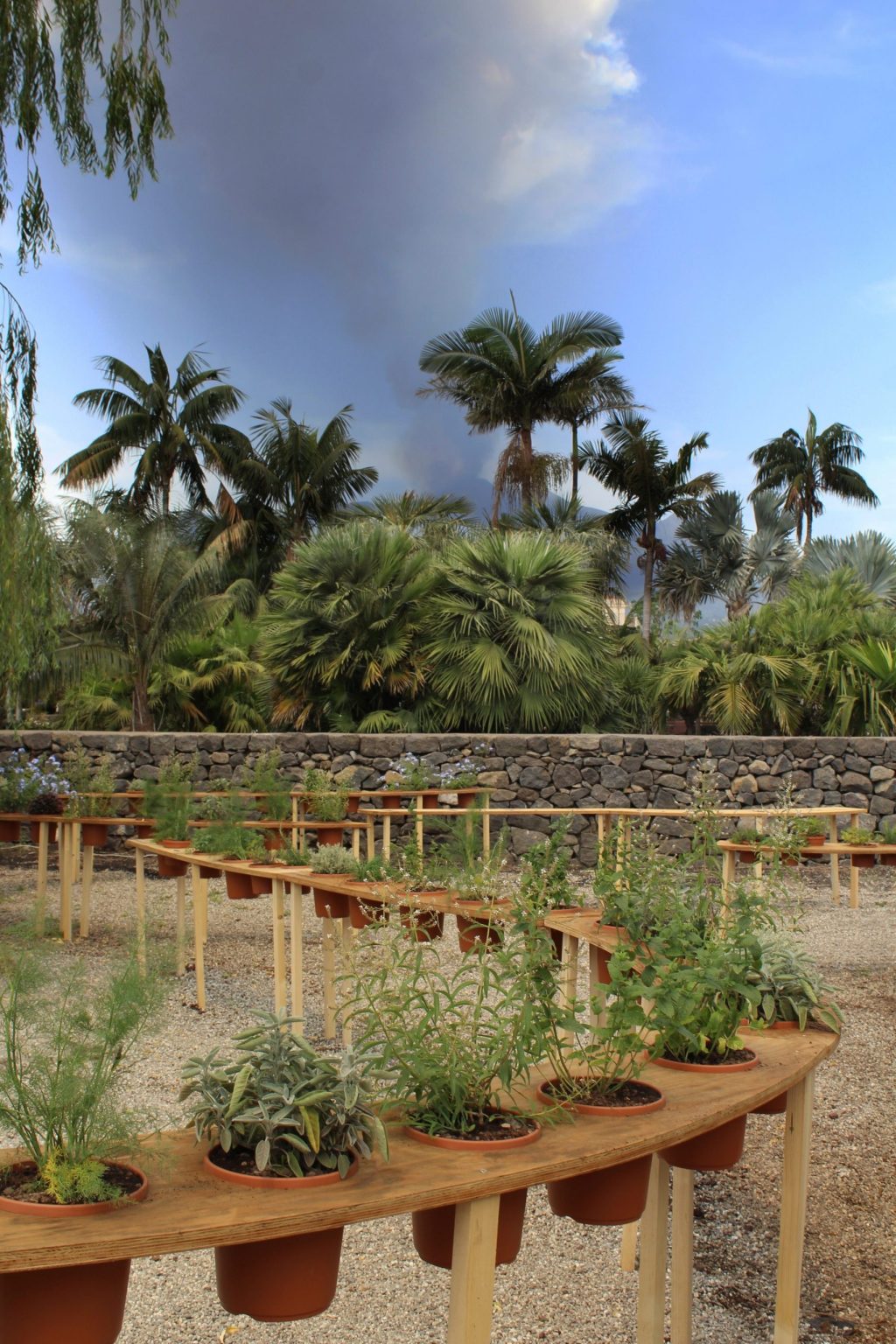 感官景观，互动体验式的园艺花园 / x-studio – mooool木藕设计网