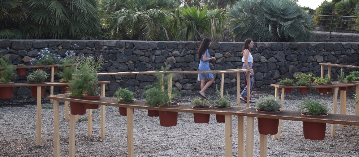 感官景观，互动体验式的园艺花园 / x-studio – mooool木藕设计网