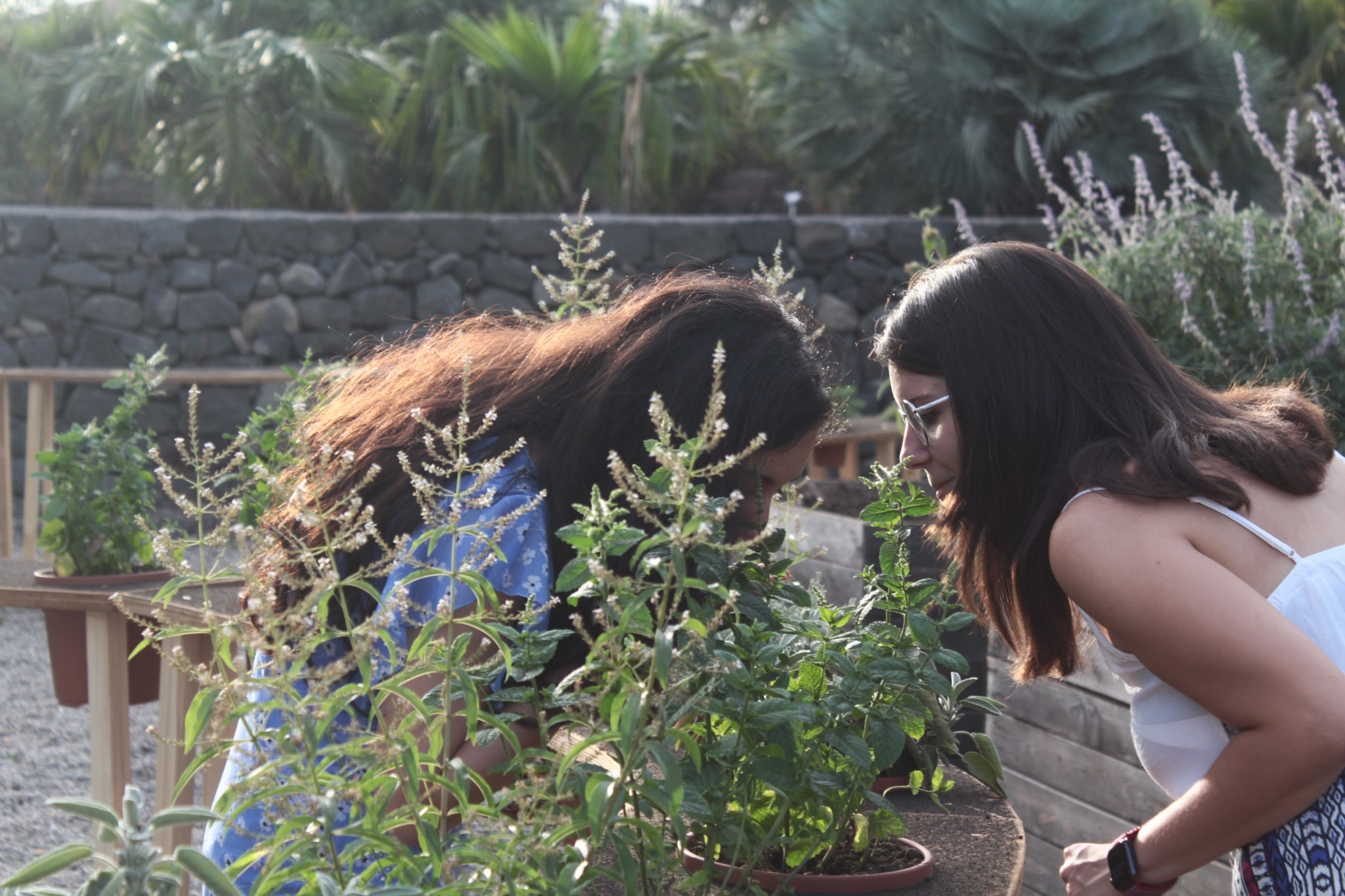 感官景观，互动体验式的园艺花园 / x-studio – mooool木藕设计网