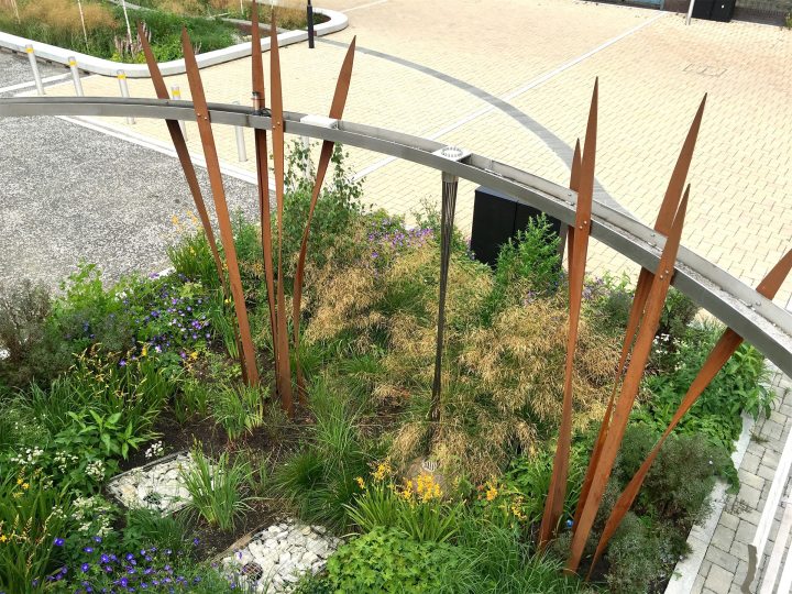 社区雨水花园，Bridget Joyce广场 / Robert Bray Associates – mooool木藕设计网