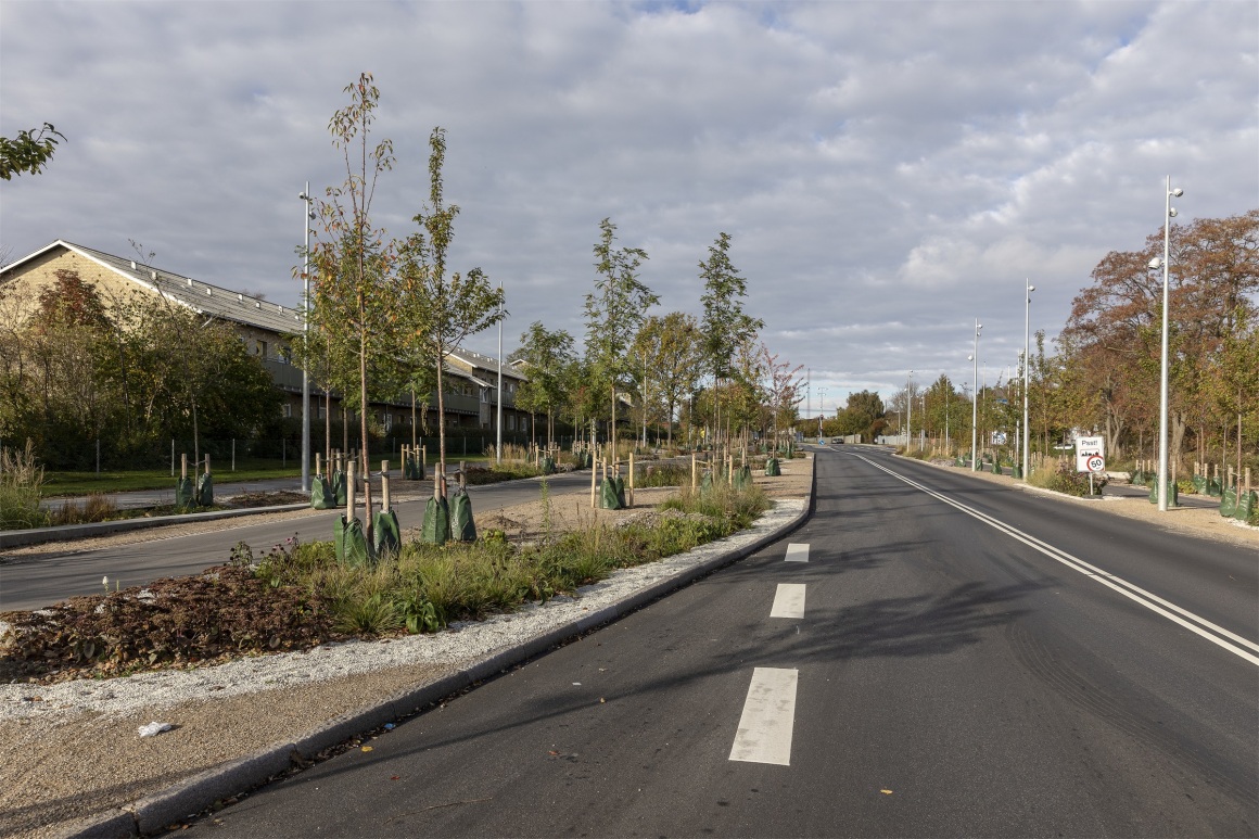 Ballerup Boulevard by Marianne Levinsen Landskab – mooool