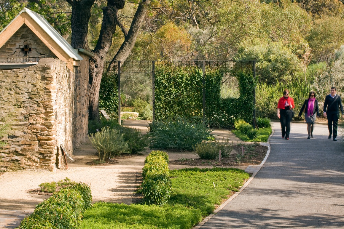 阿德莱德植物园-自然本土花园 / TCL – mooool木藕设计网