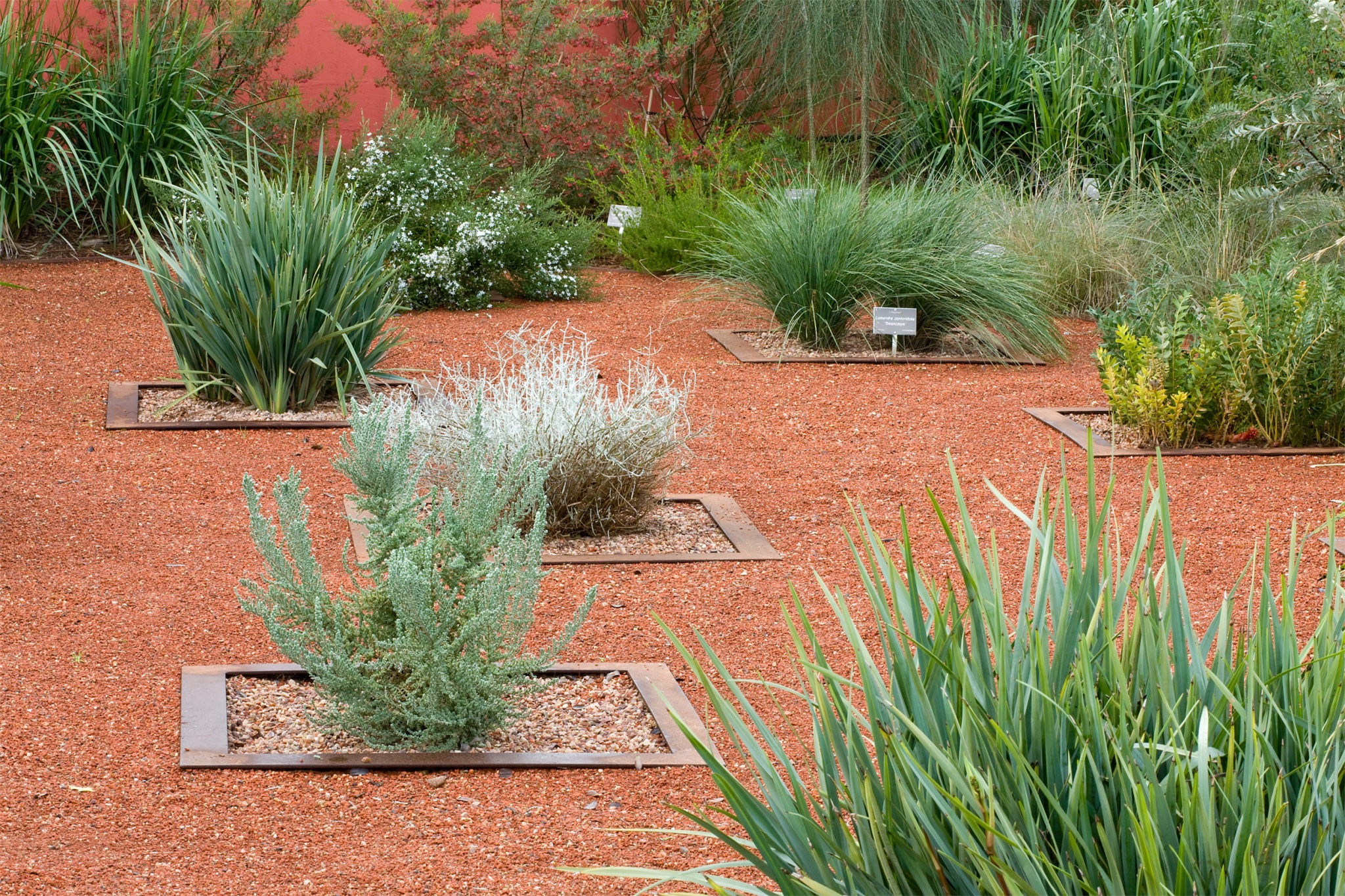 阿德莱德植物园-自然本土花园 / TCL – mooool木藕设计网