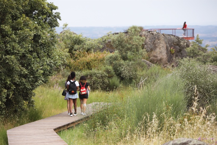 Barrocal Park by Topiaris Landscape Architecture – mooool