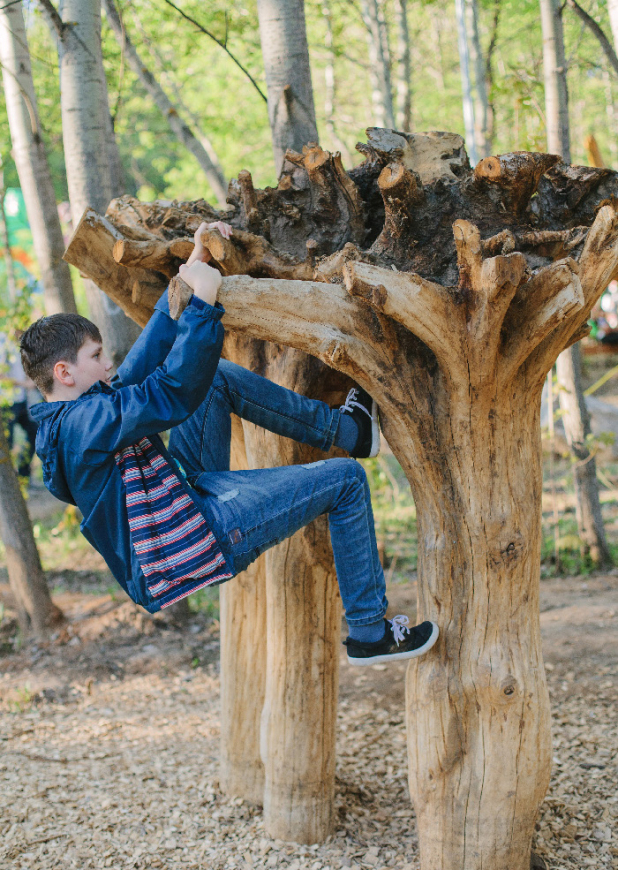 Mushrooms playground by burodruzhba – mooool