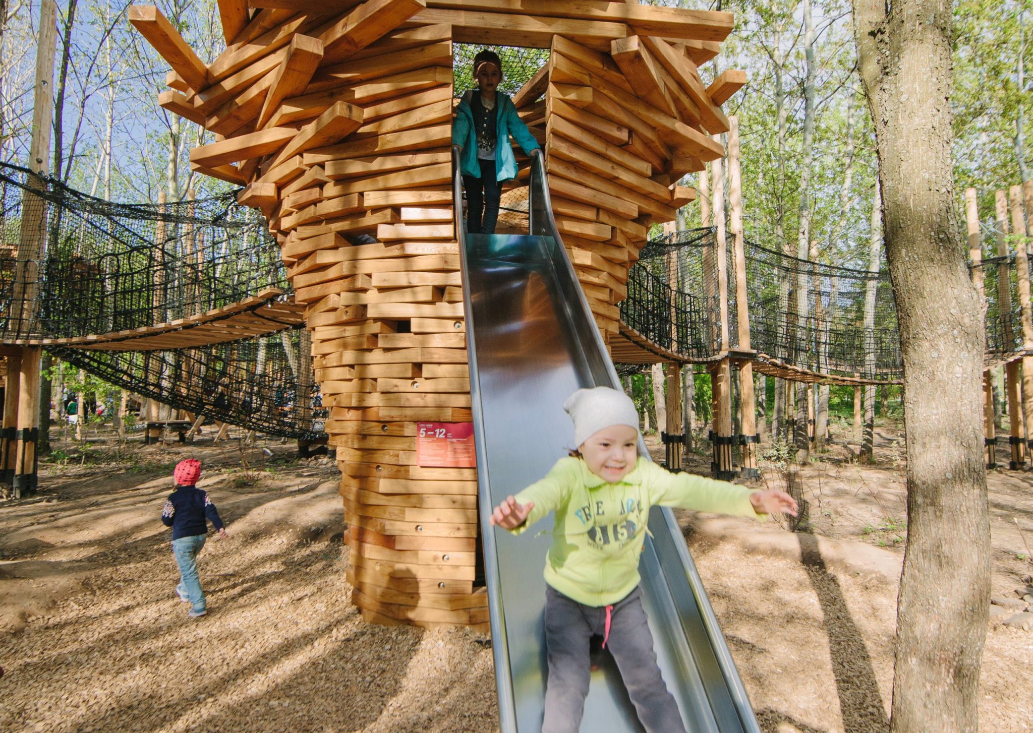 Mushrooms playground by burodruzhba – mooool