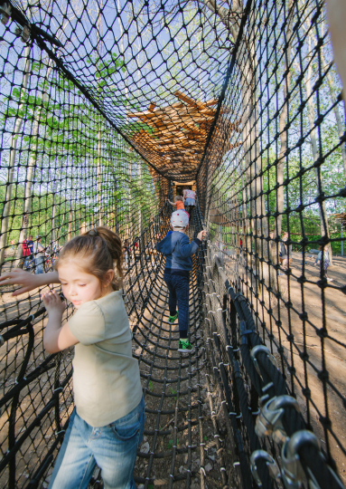 Mushrooms playground by burodruzhba – mooool