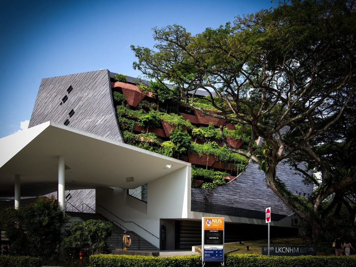 暹罗水泥集团曼谷新总部景观 SCG / Landscape Collaboration – mooool木藕设计网