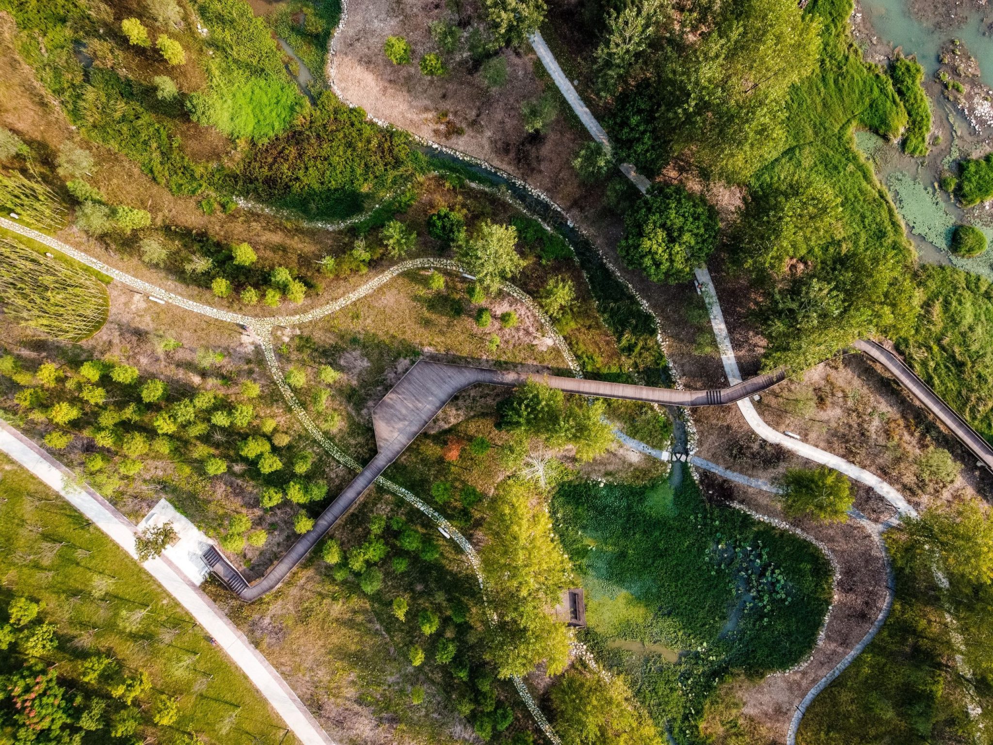 Ecological Wetland – mooool