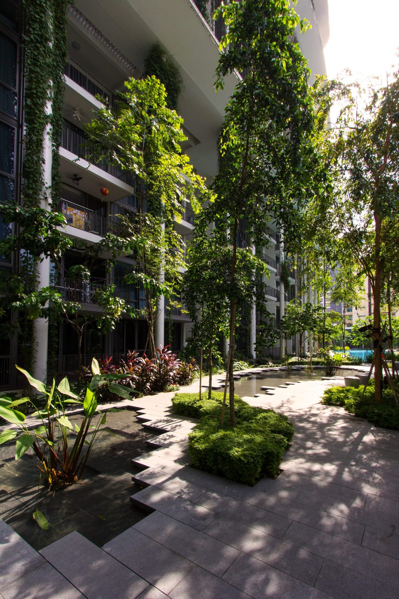 The Tembusu by Tierra Design (S) Pte Ltd – mooool