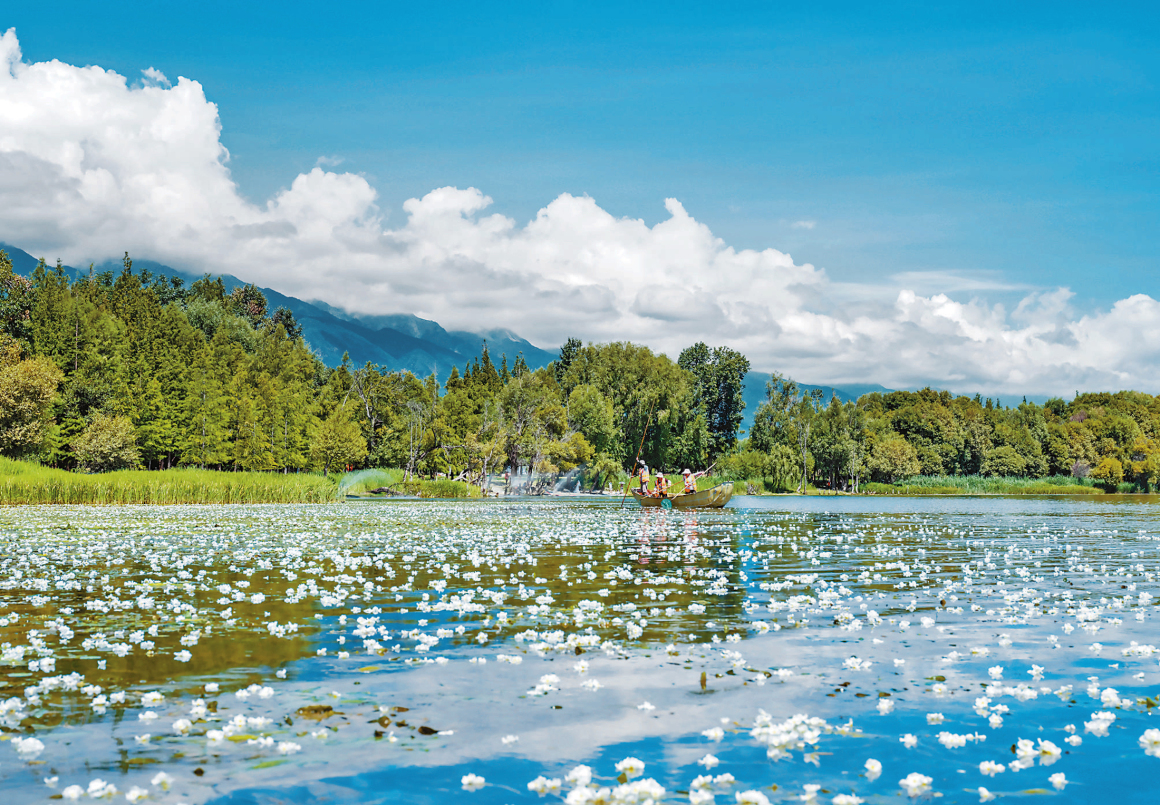 Erhai Lake Ecological Restoration Project by Arcplus – mooool