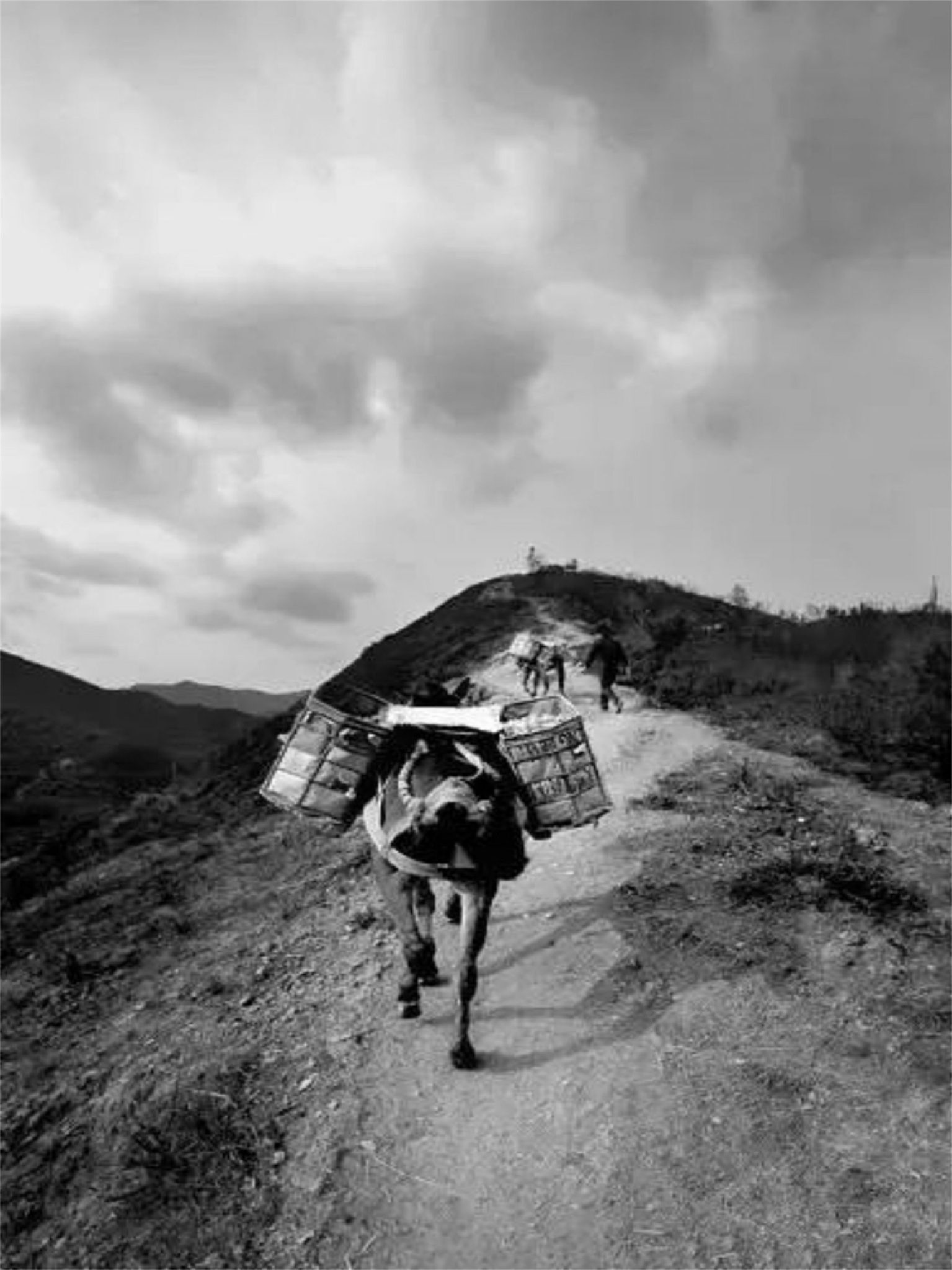 Kunming Junfa Dian Yi 465 By Interesting Landscape – mooool