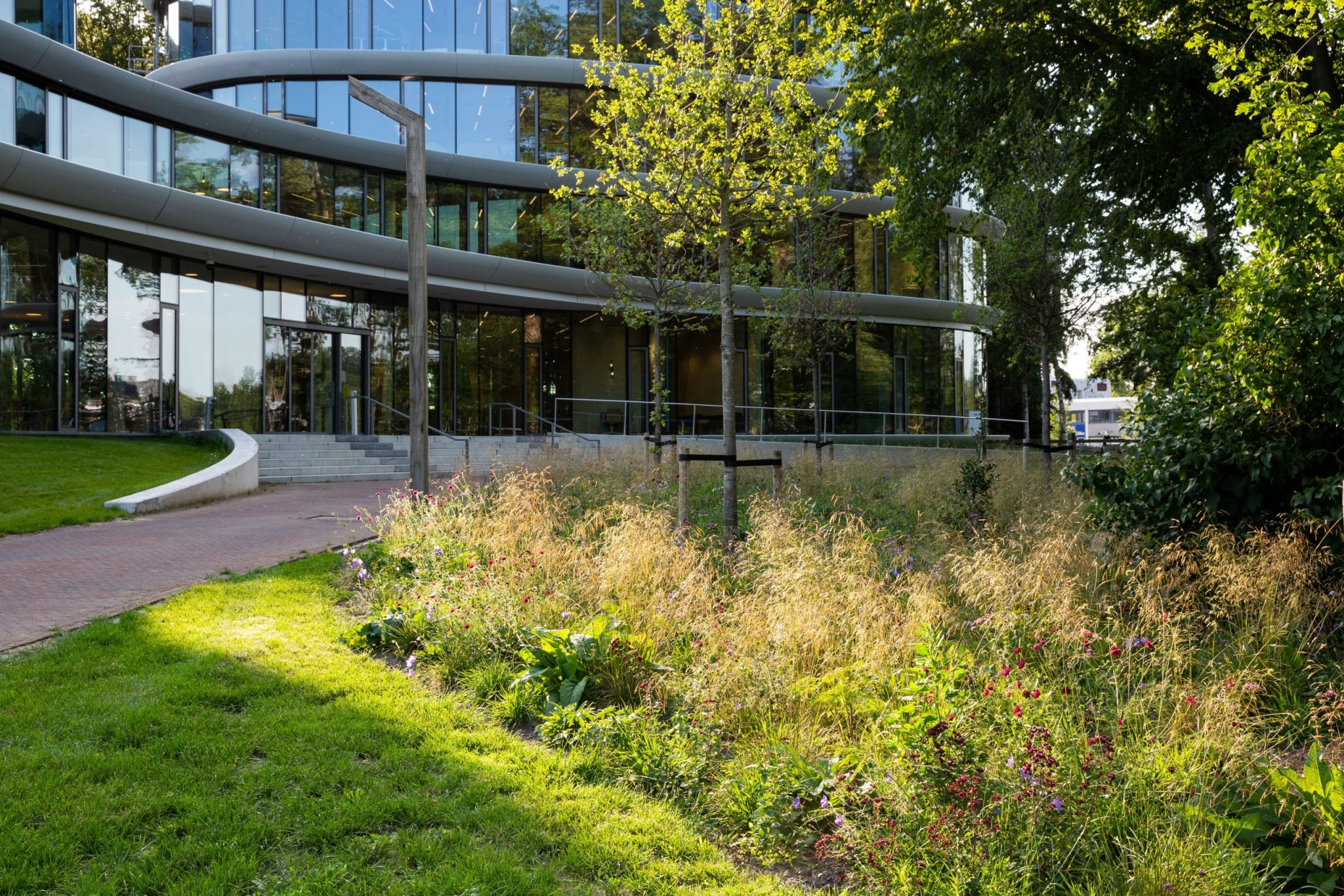 Office Campus, De Reehorst, Triodos Bank by Arcadis Landscape ...