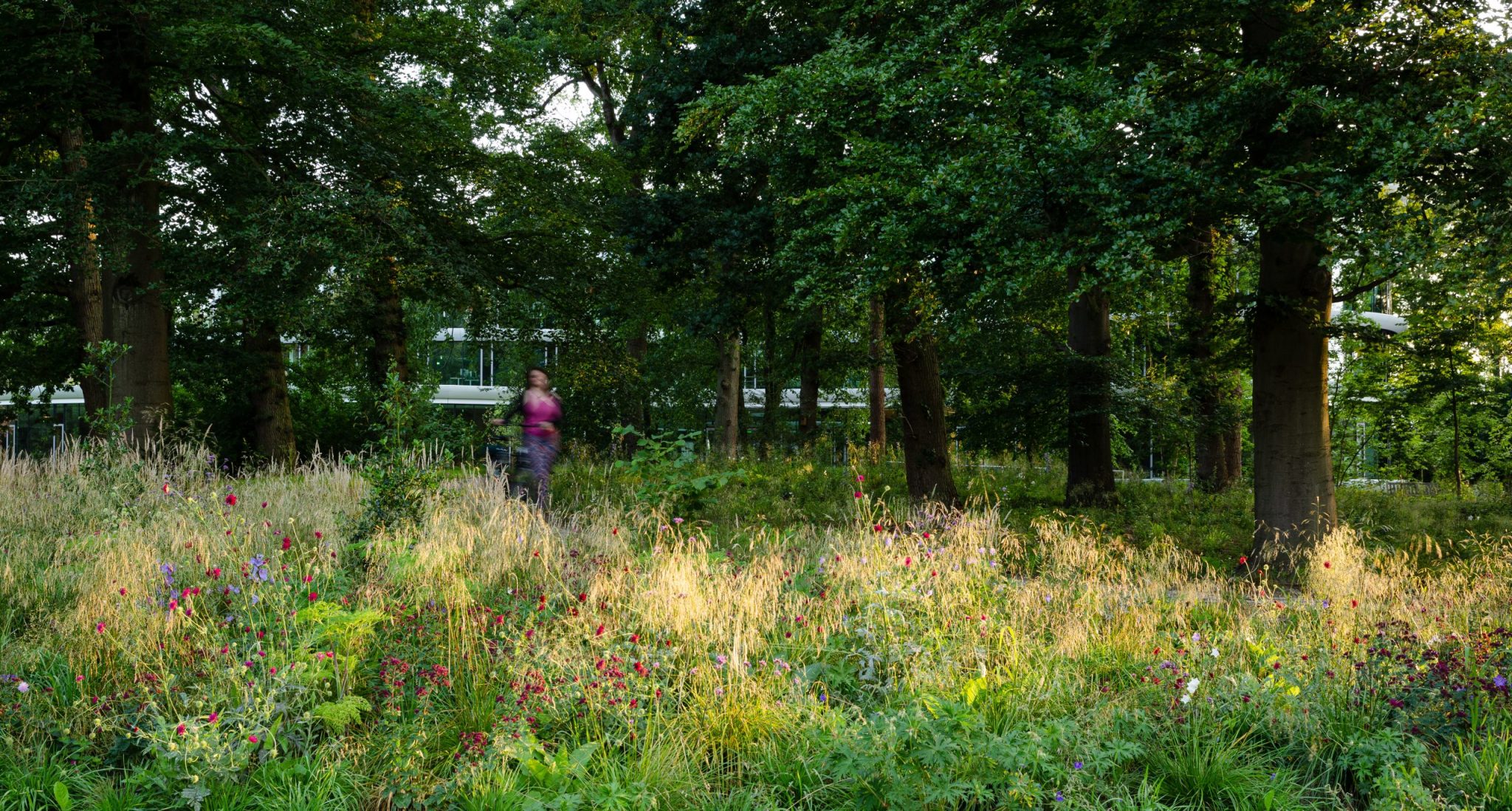 Office Campus, De Reehorst, Triodos Bank by Arcadis Landscape ...