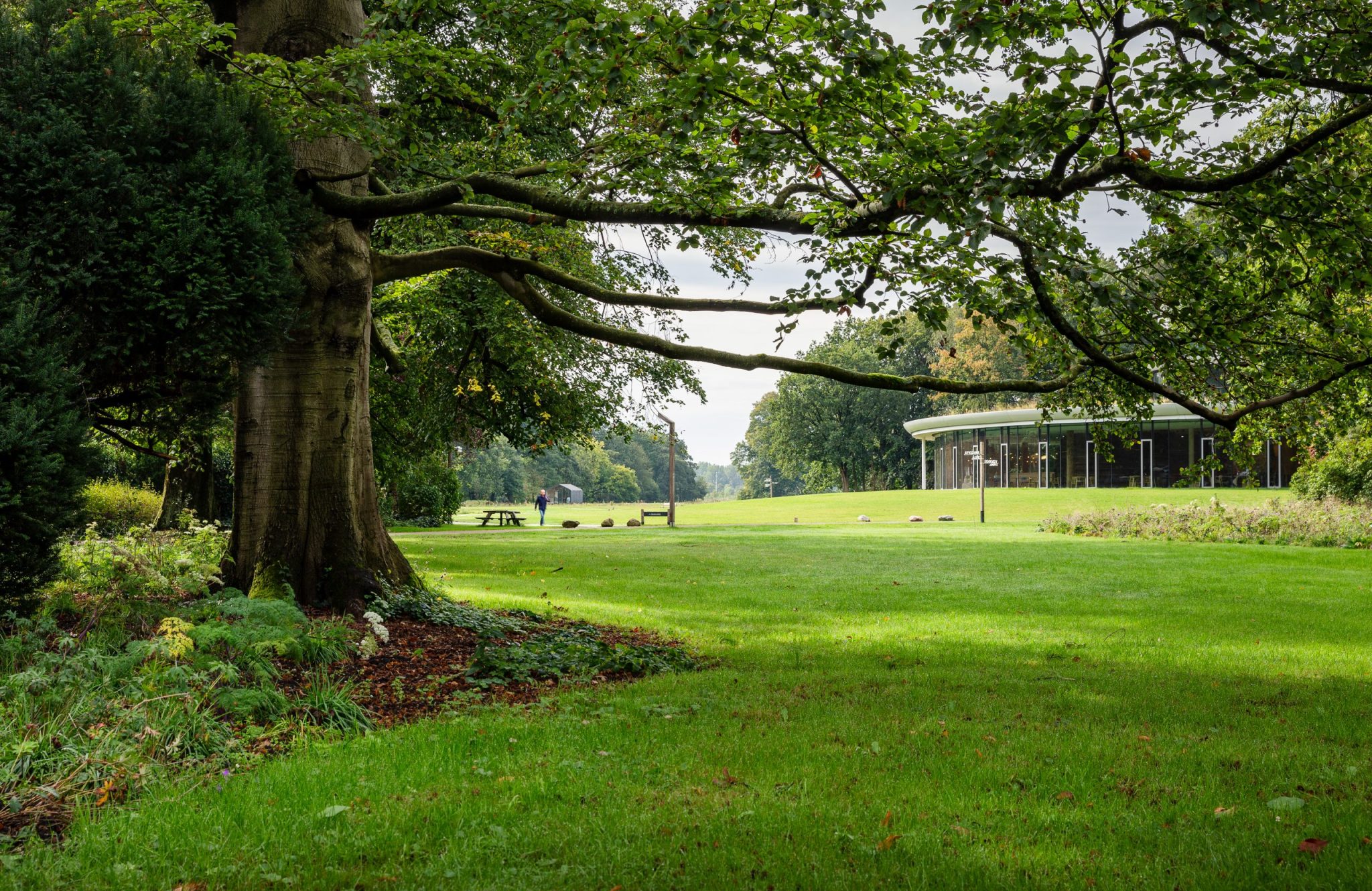 Office Campus, De Reehorst, Triodos Bank by Arcadis Landscape ...