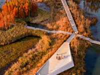 mooool – 木藕设计网