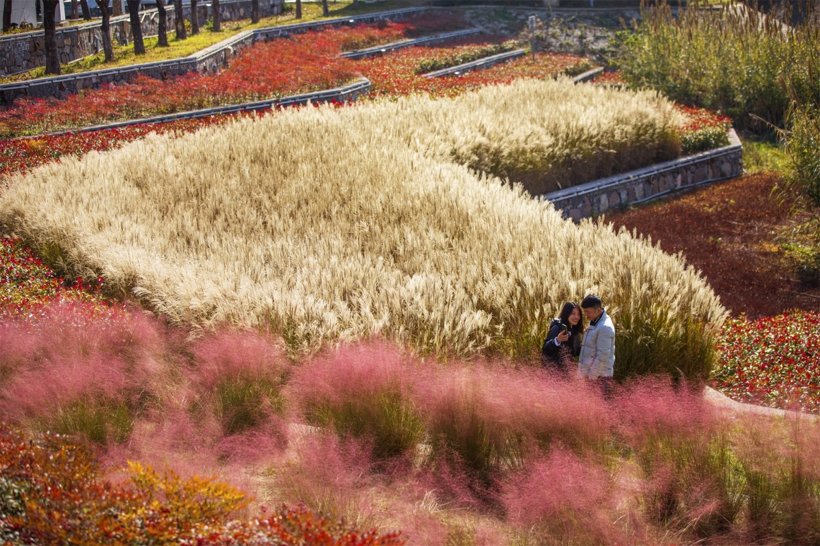 Xian Yannan Park By Turenscape – mooool