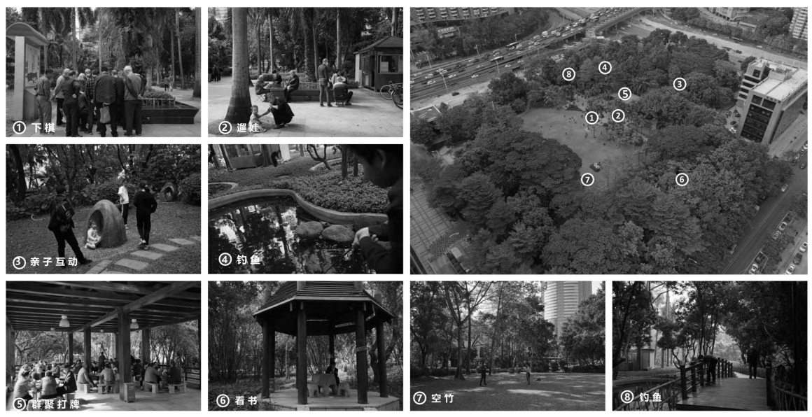 此心安处，自然华盖下的公园生活 | 深圳市文心公园 / 未名设计 WMLA – mooool木藕设计网