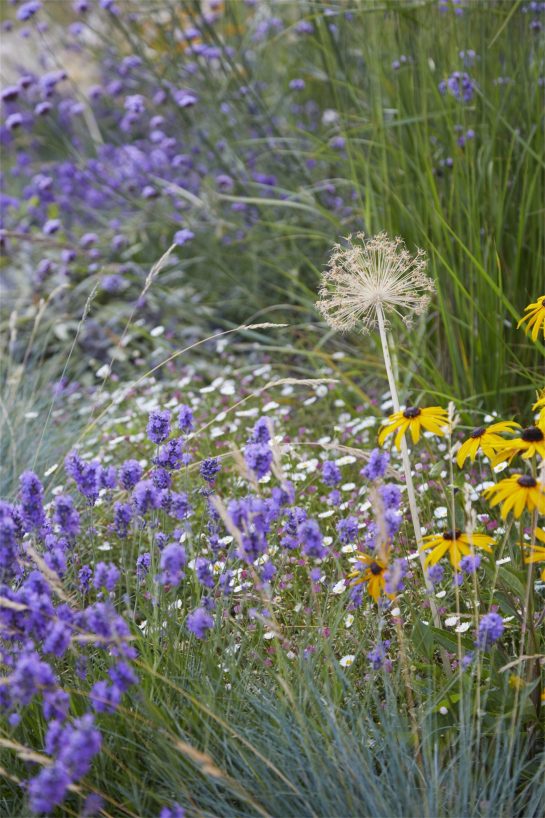 Glassfields Meanwhile Park by B|D Landscape Architects – mooool