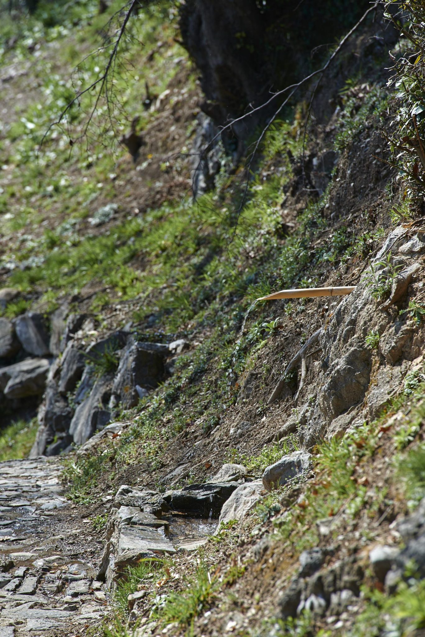 Vertical Garden by enrico sassi architetto – mooool