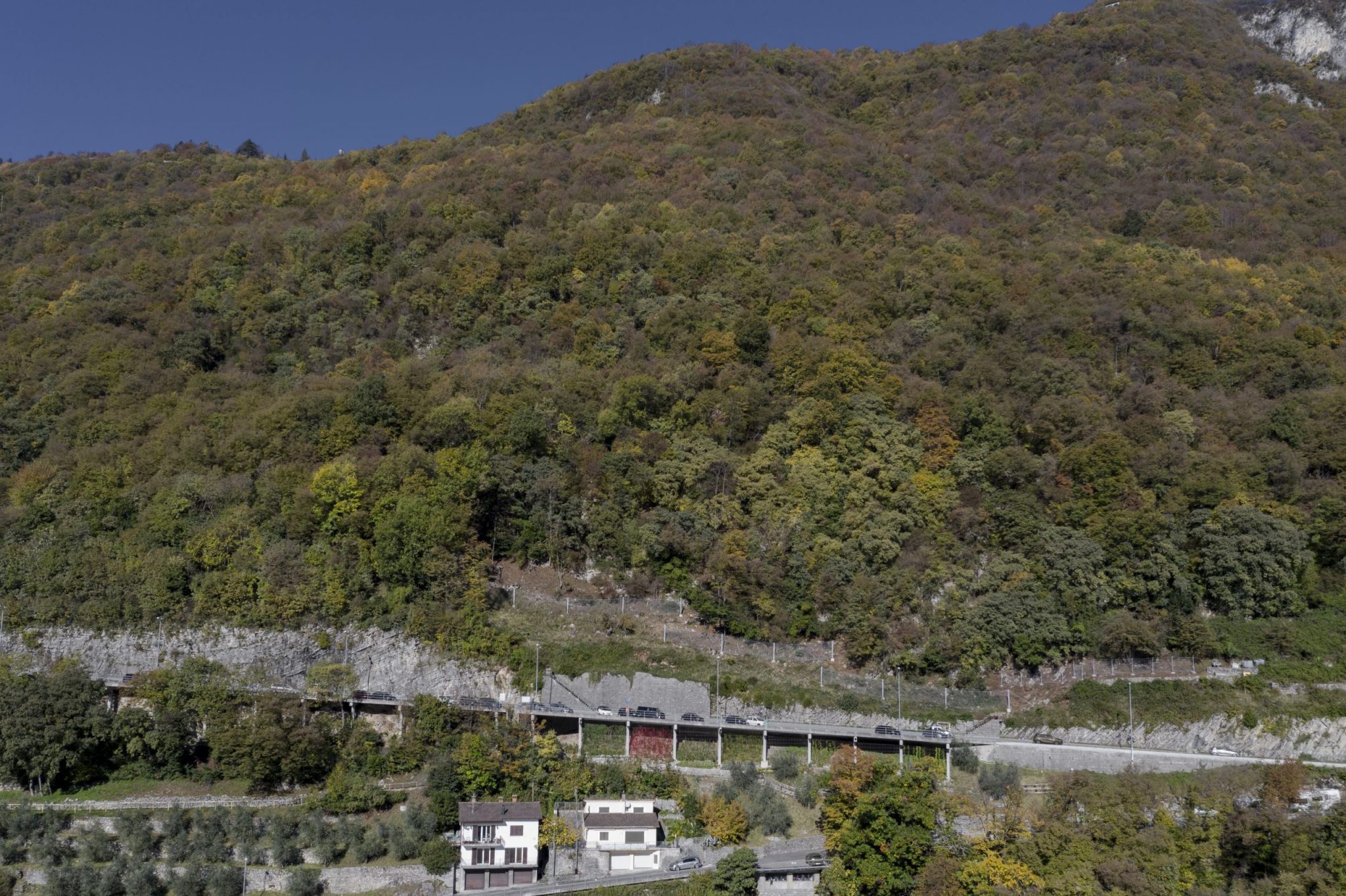 Vertical Garden by enrico sassi architetto – mooool