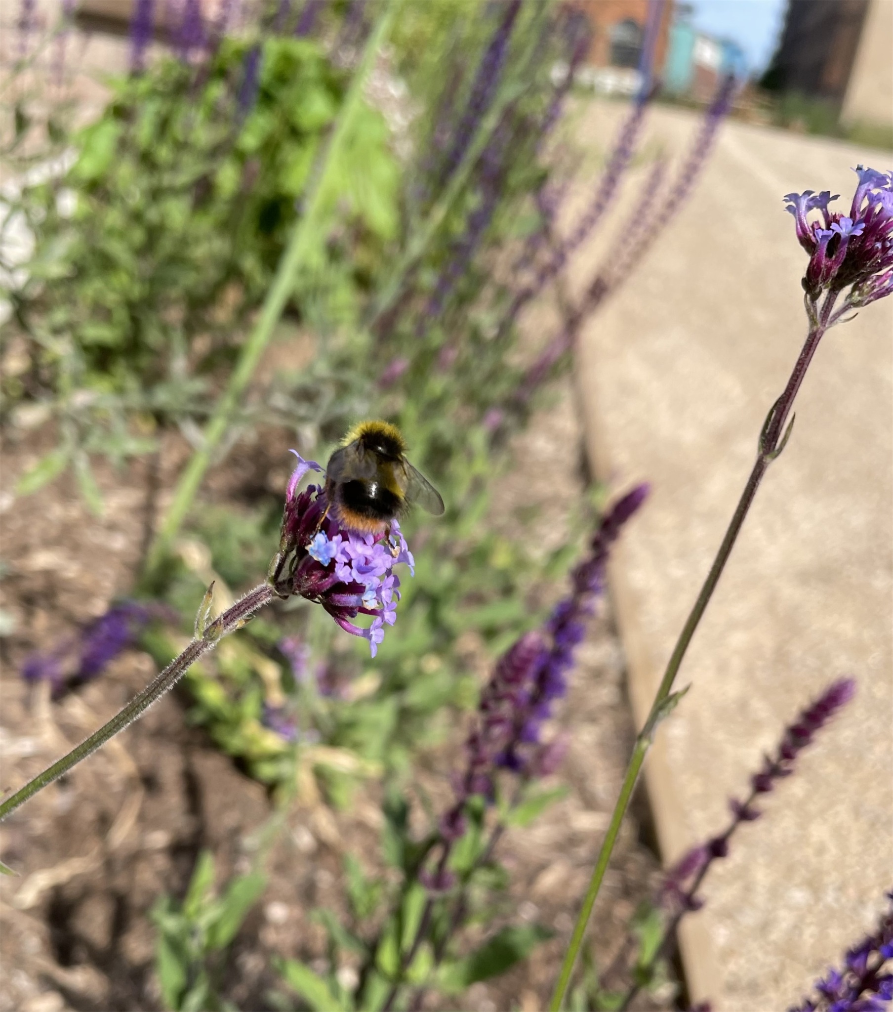 Glassfields Meanwhile Park by B|D Landscape Architects – mooool