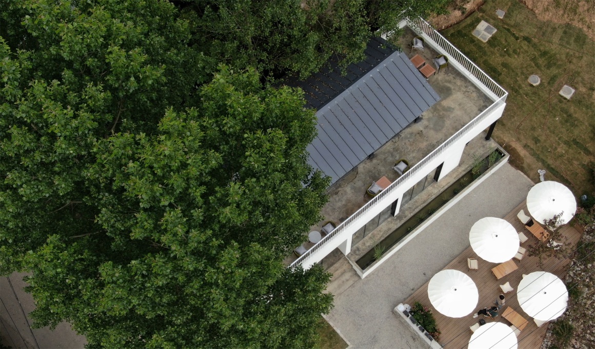 Ideal Forest · Lin Tong By Liangzhu Design – mooool