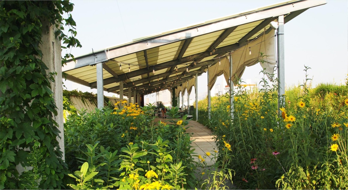 Create Resilient Landscapes and Explore More Possibilities for Urban ...