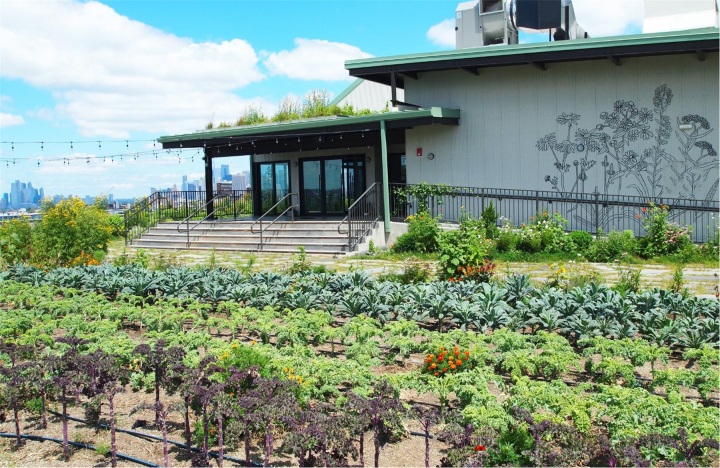 Create Resilient Landscapes and Explore More Possibilities for Urban ...