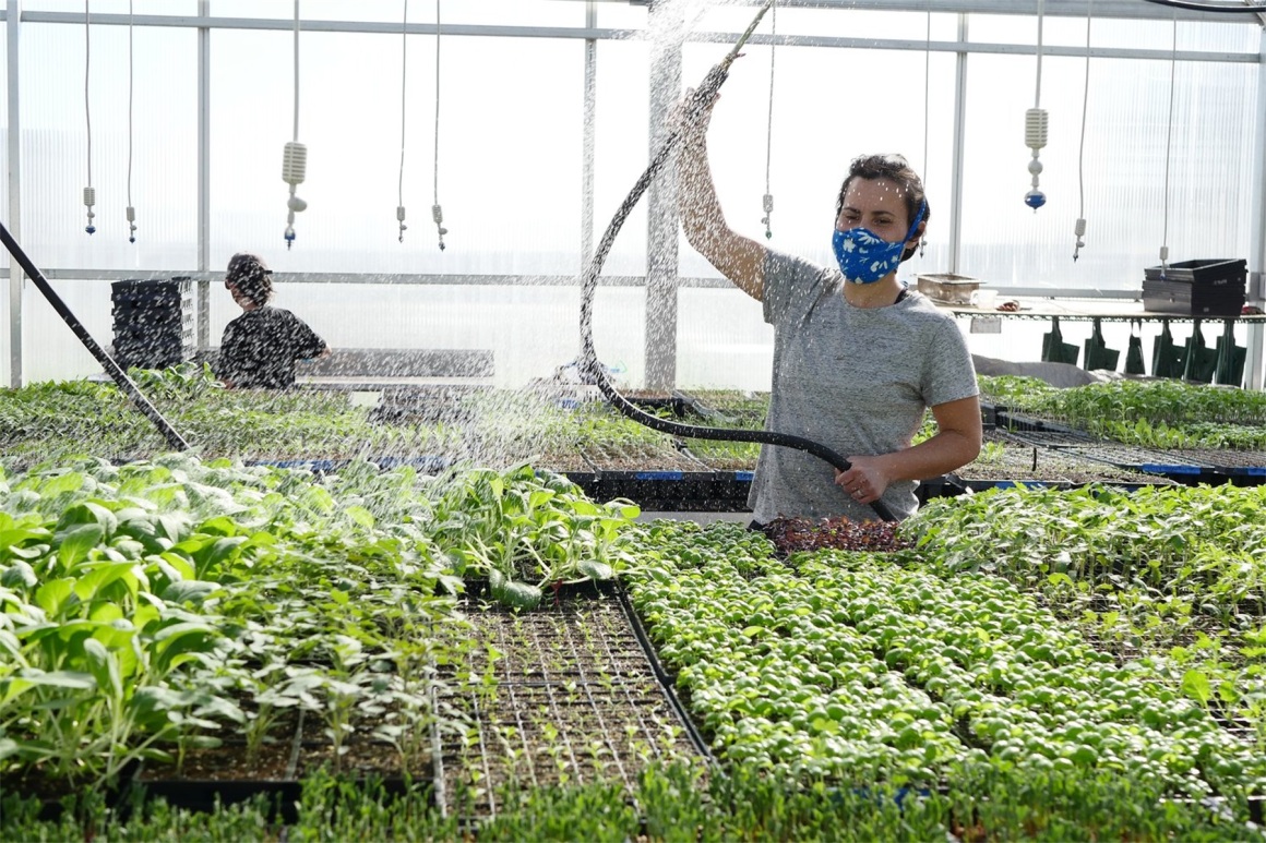 Create Resilient Landscapes and Explore More Possibilities for Urban ...