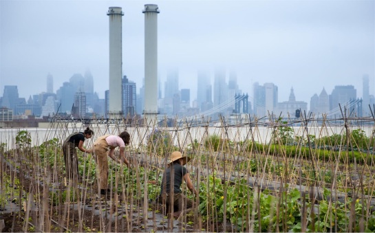 Create Resilient Landscapes and Explore More Possibilities for Urban ...